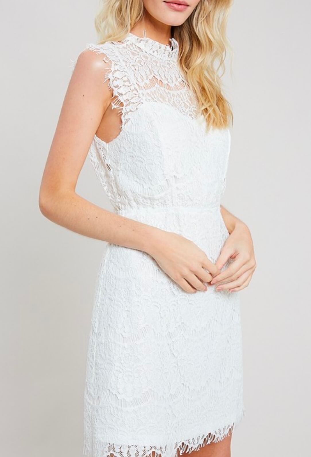 Open Back Mock Neck Lace Dress - More Colors – Shop Hearts